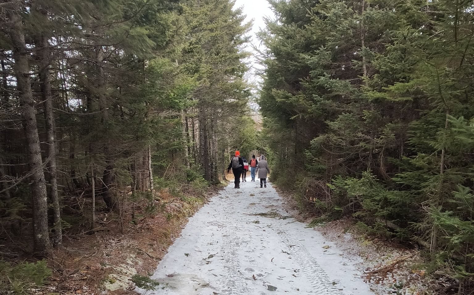What Do We Know About Nova Scotia's Black Bear Population? | Nature ...