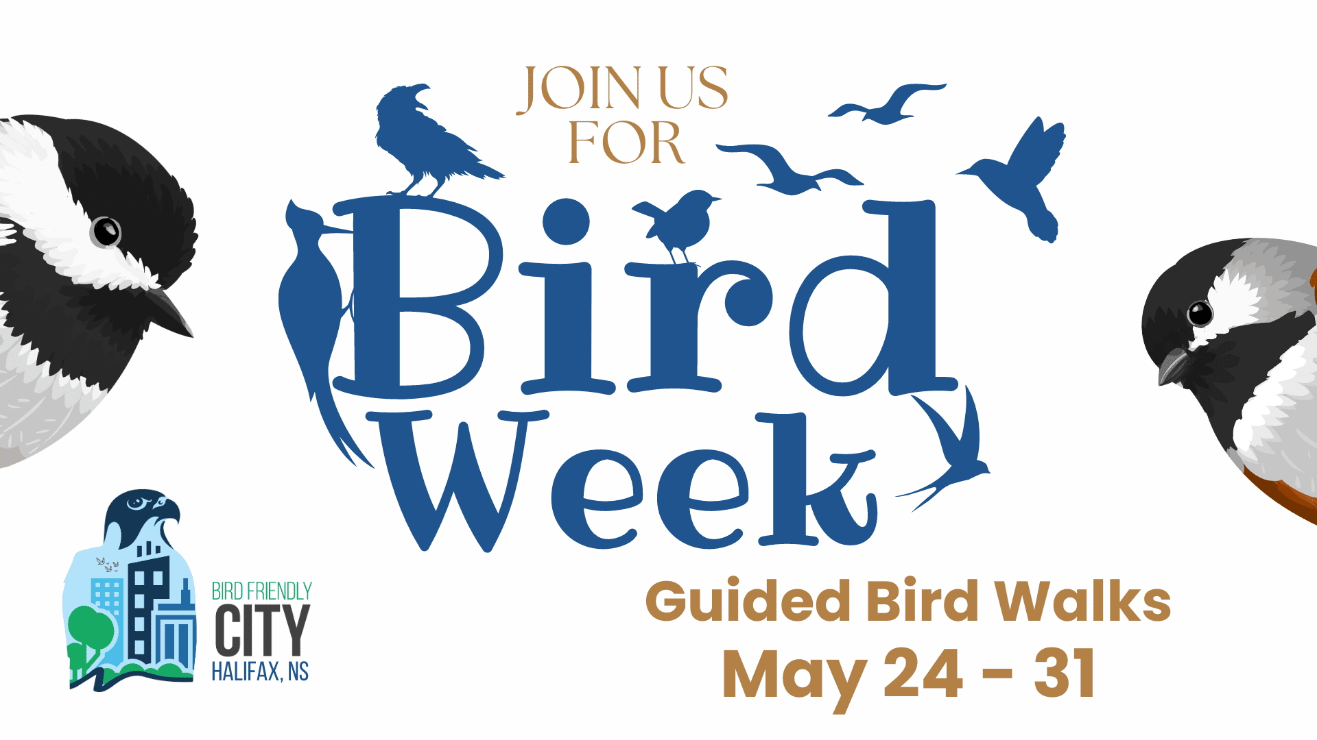 2024Halifaxbirdweek