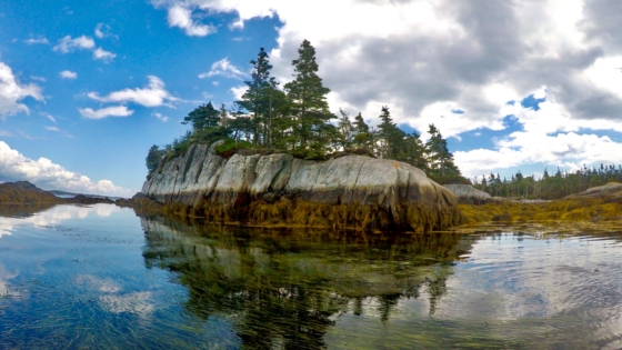 Make Room for Nature | Nature Nova Scotia